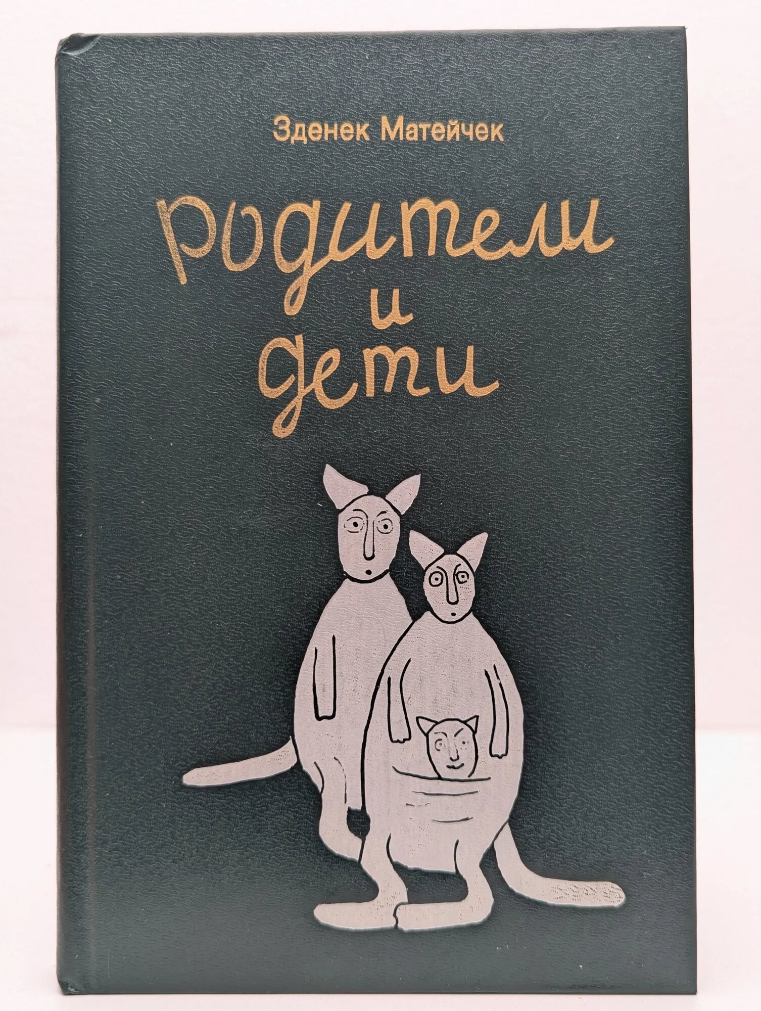 Родители и дети. Книга для учителя Матейчек Зденек 1992