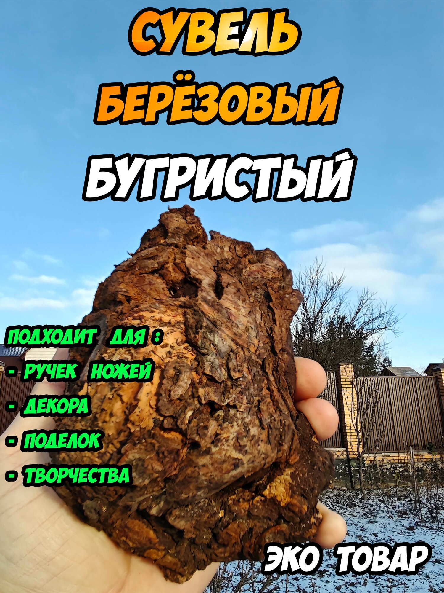 Берёзовый сувель - Бугристый