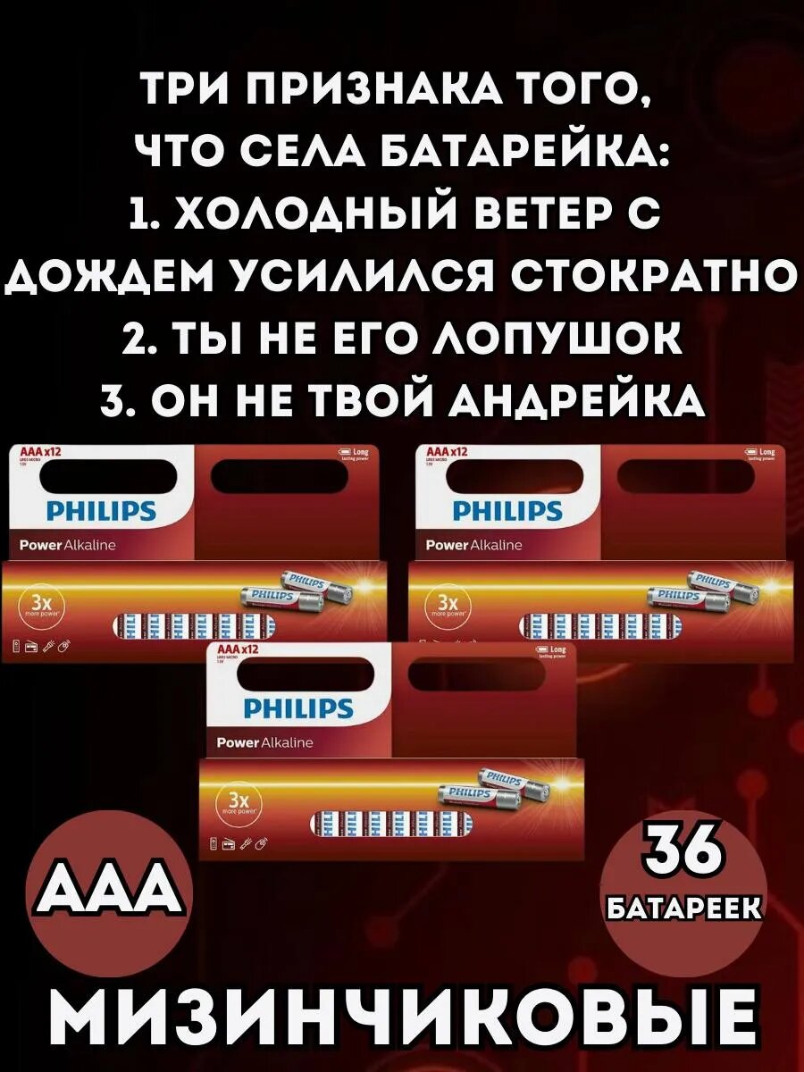Батарейки мизинчиковые Philips Power Alkaline LR03 36 шт