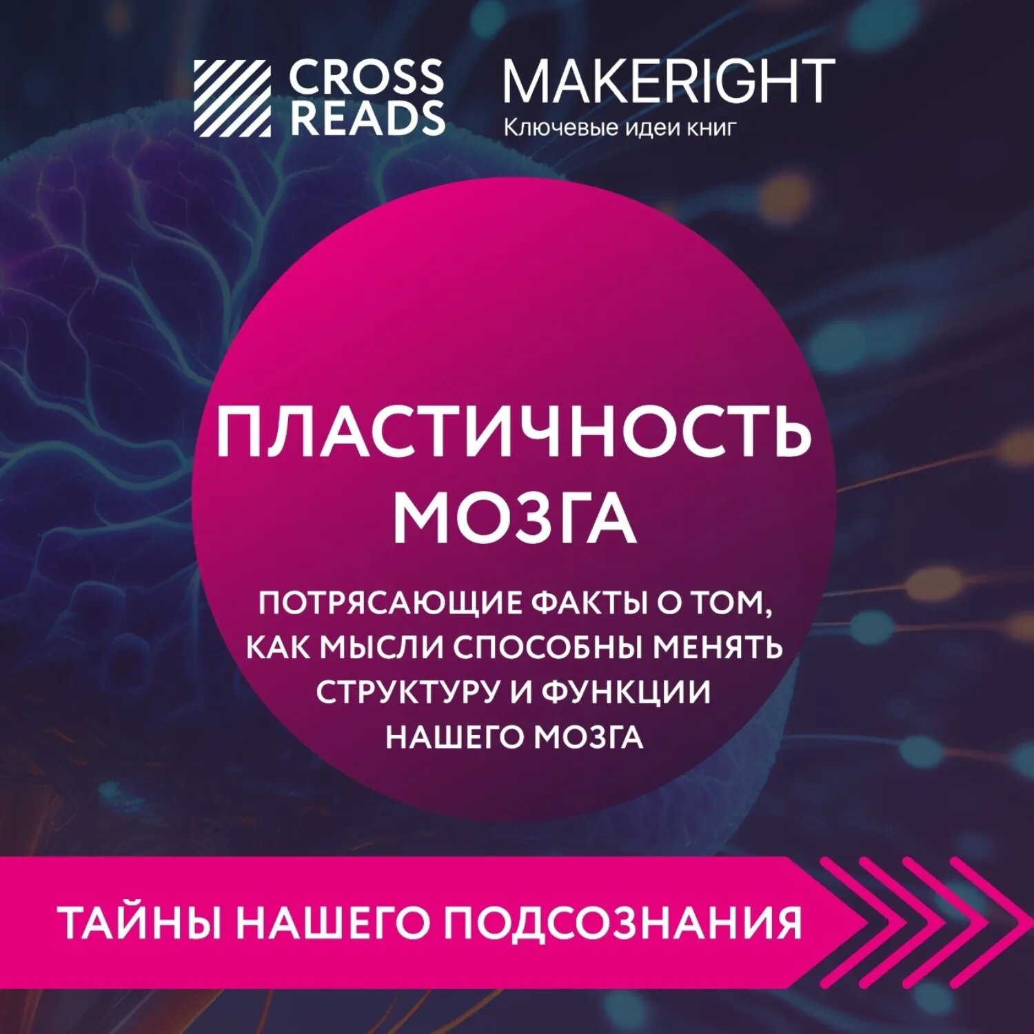 Саммари книги «Пластичность мозга. Потрясающие факты о том, как мысли способны менять структуру и функции нашего мозга» [Аудиокнига]