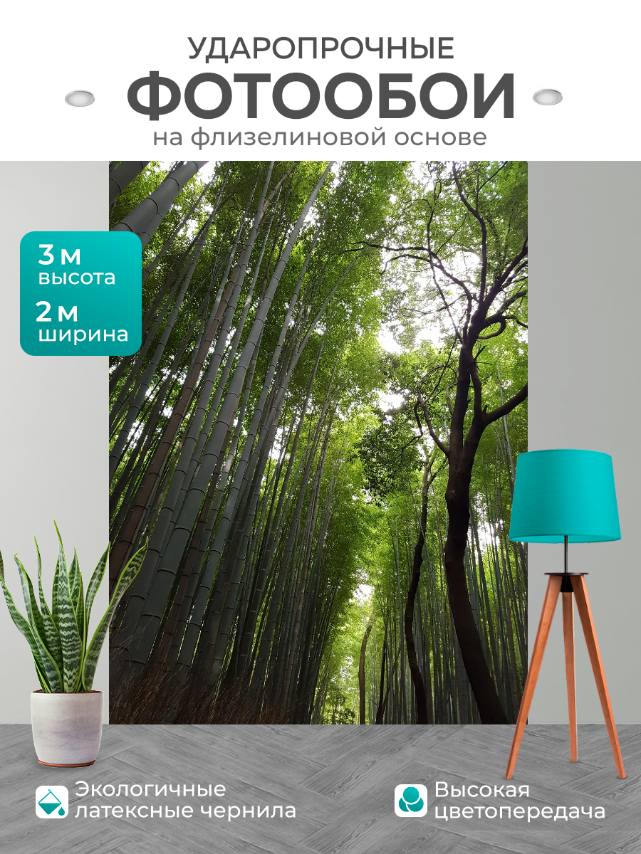 Фотообои моющиеся ударопрочные "Япония, против роща, японский бамбуковый лес" 200x300 см. флизелиновые на стену