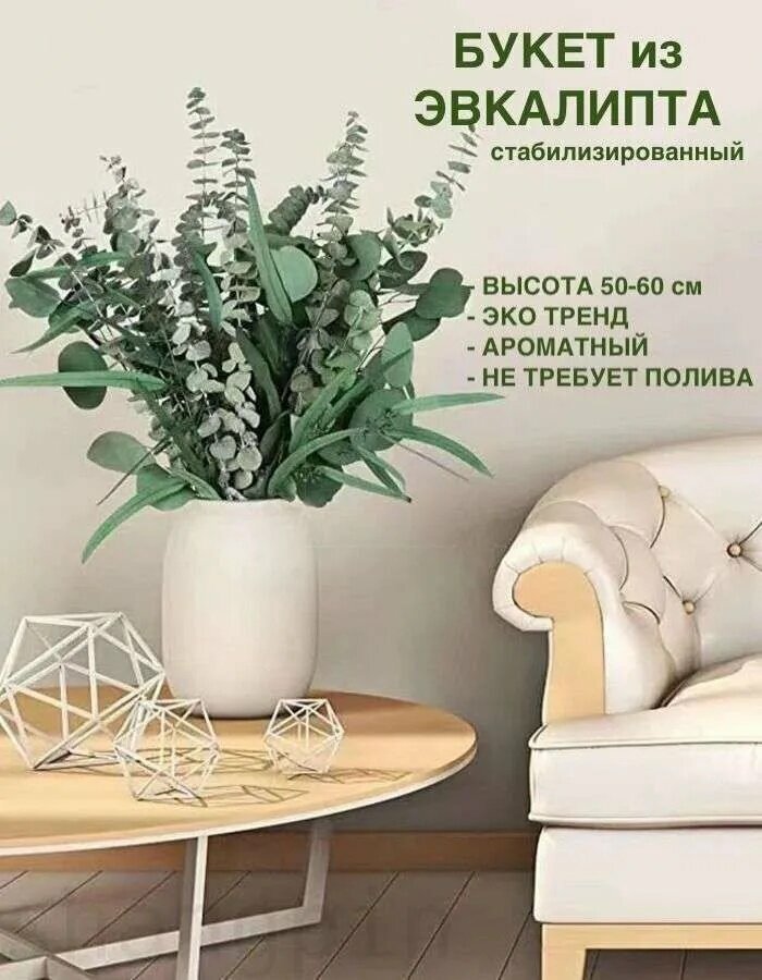 Стабилизированные цветы Эвкалипт, 50 см, 300 гр, 1 шт