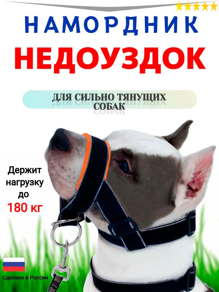 Недоуздок для собак намордник халти для средних и крупных пород