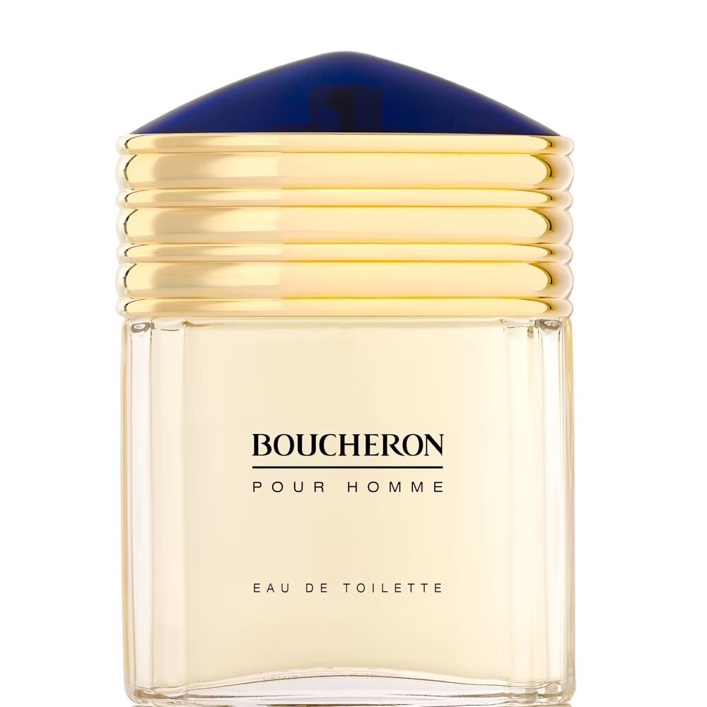 Boucheron Pour Homme туалетная вода 100 мл, аромат для мужчин