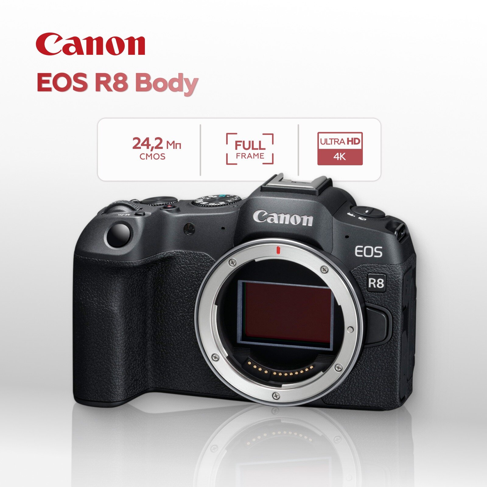 Беззеркальный фотоаппарат Canon EOS R8 Body