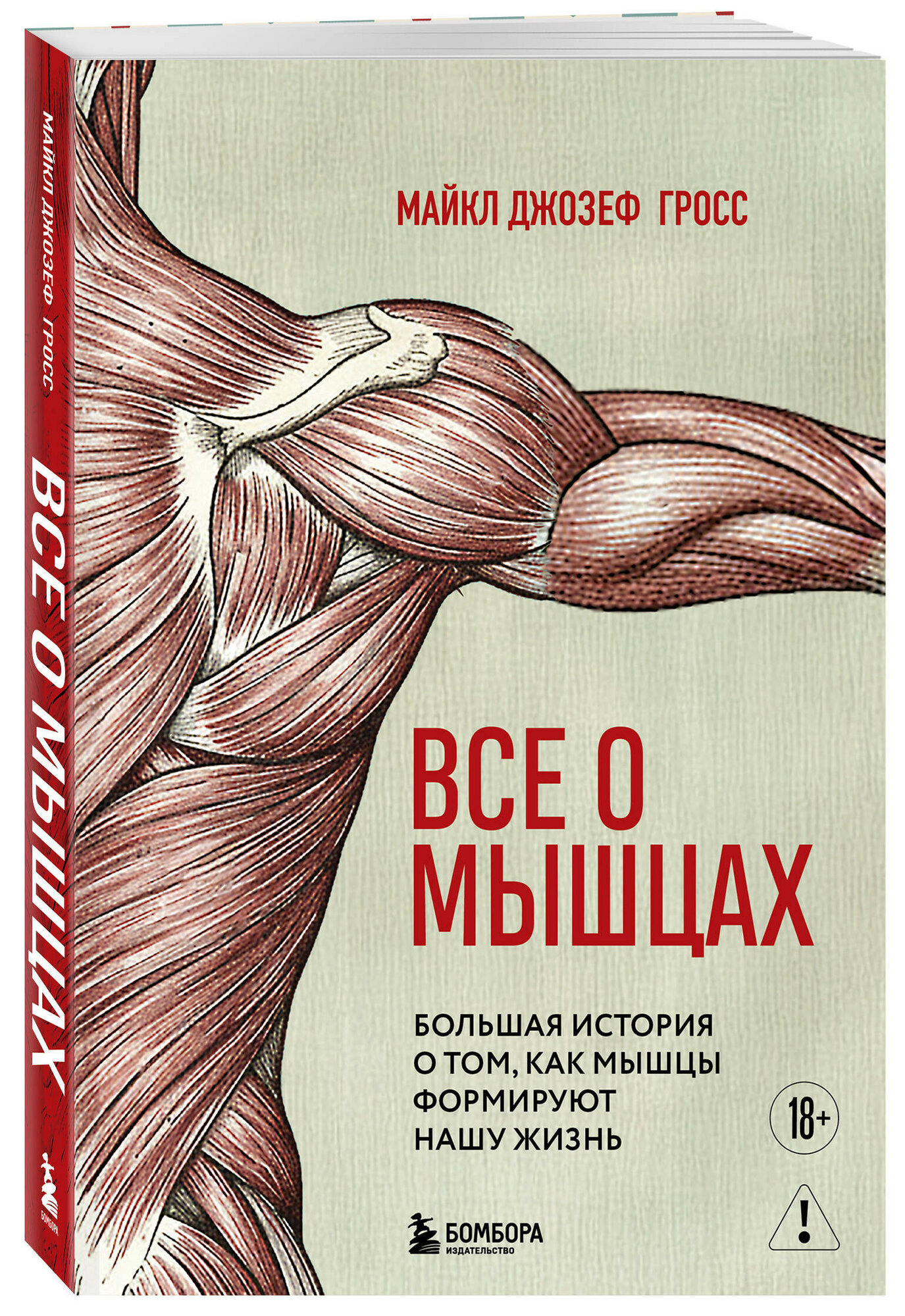 Все о мышцах: Большая история о том, как мышцы формируют нашу жизнь