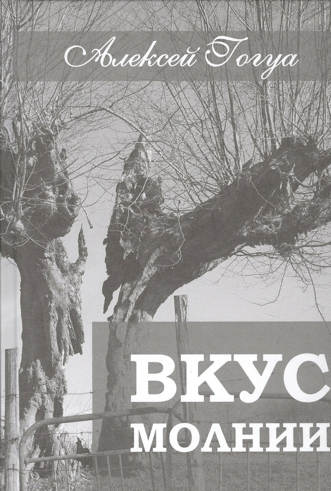 Книга: "Вкус молнии. Рассказы" от Гогуа А, русский язык, Современная российская проза