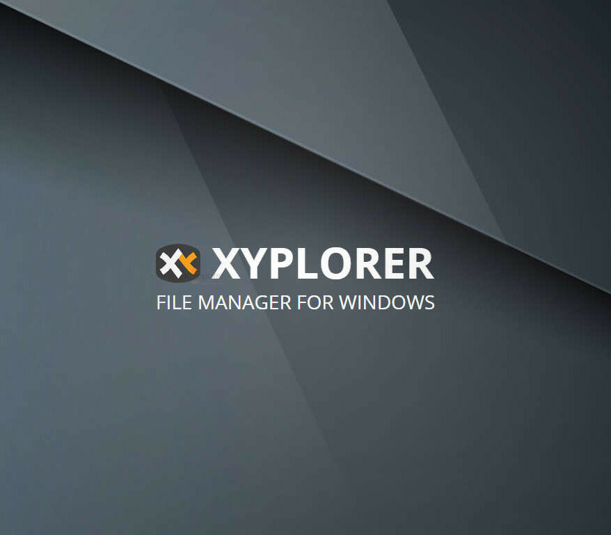 Xyplorer - Mini Site Professional Ключ (50 Users) • Цифровой ключ