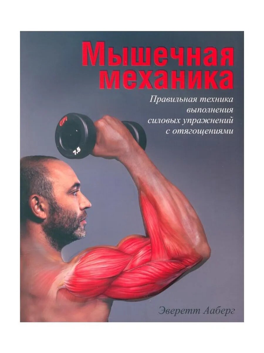 Мышечная механика