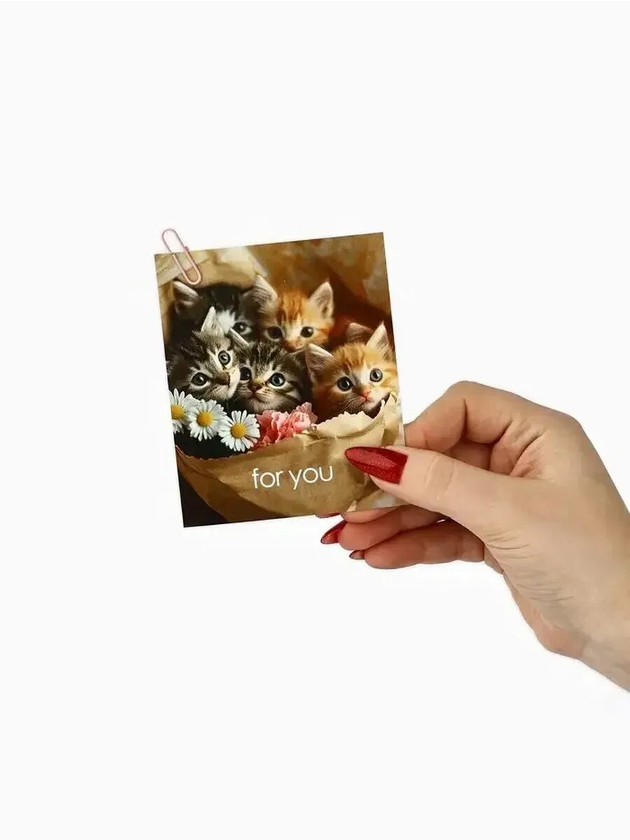 Мини-открытки с котиками в подарочной коробке