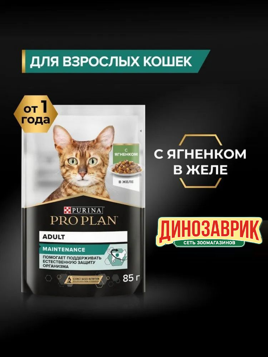 Влажный корм PRO PLAN MAINTENANCE для взрослых кошек, с ягненком в желе, 85 гр