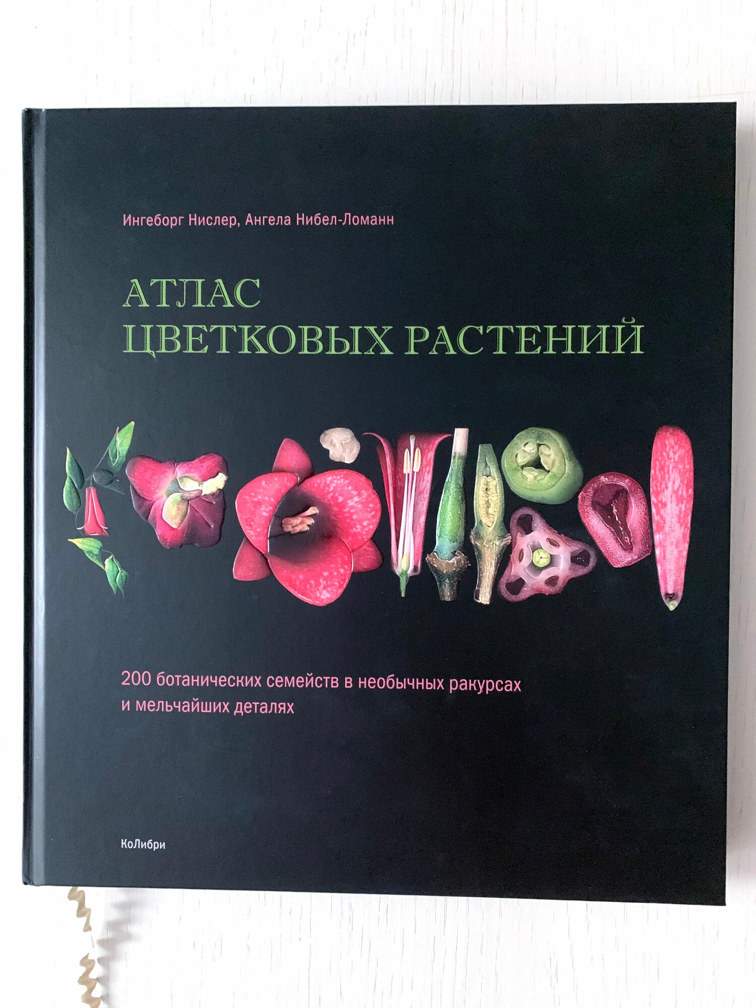 Атлас цветковых растений. Авторы Нислер Ингеборг, Нибел-Ломанн Ангела. 2019 г.