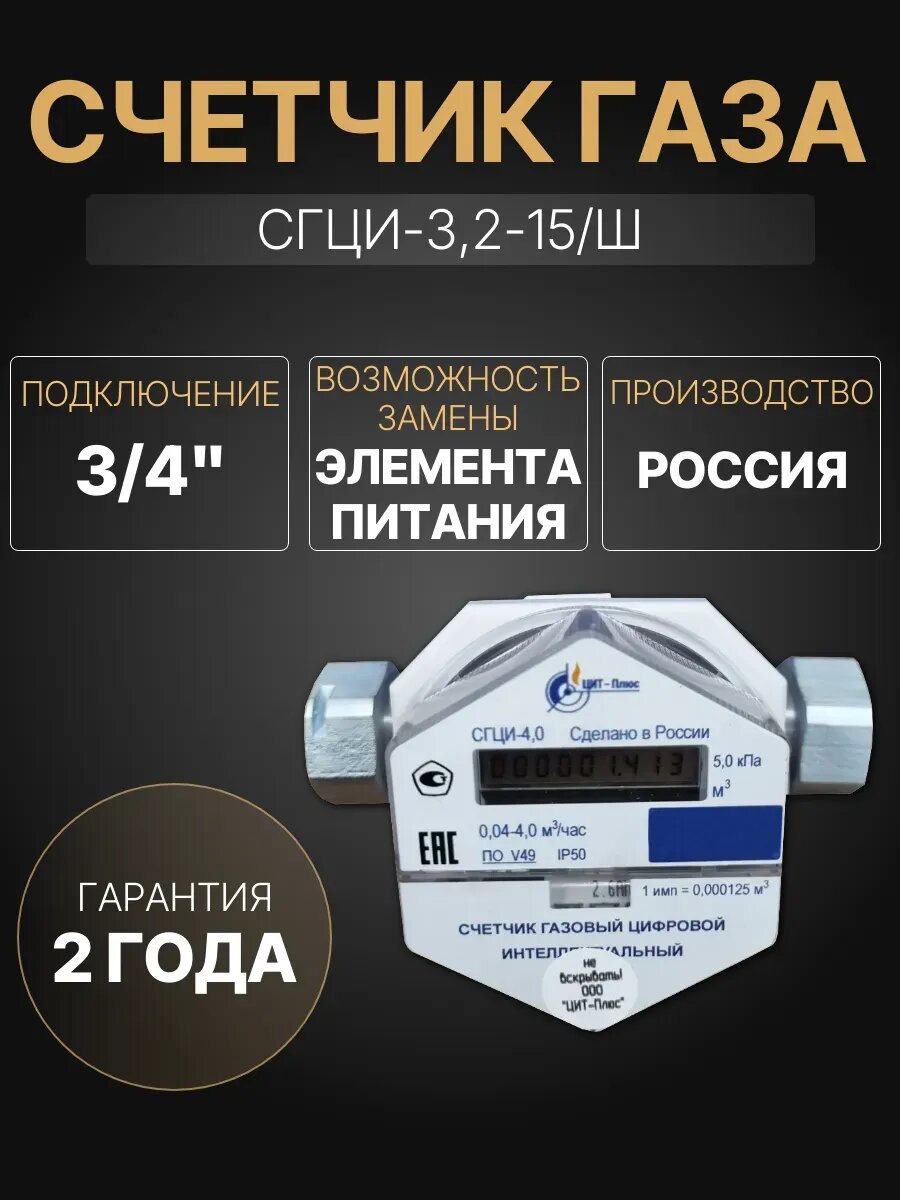 Счетчик газовый СГЦИ-4-20/М ябкю.407239.001-12 (Dn20, ГГ)