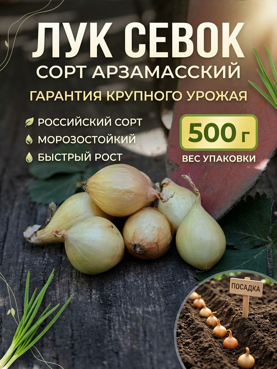 Лук севок Арзамасский 500 грамм, старинный русский сорт, острый, урожайный, идеален для хранения