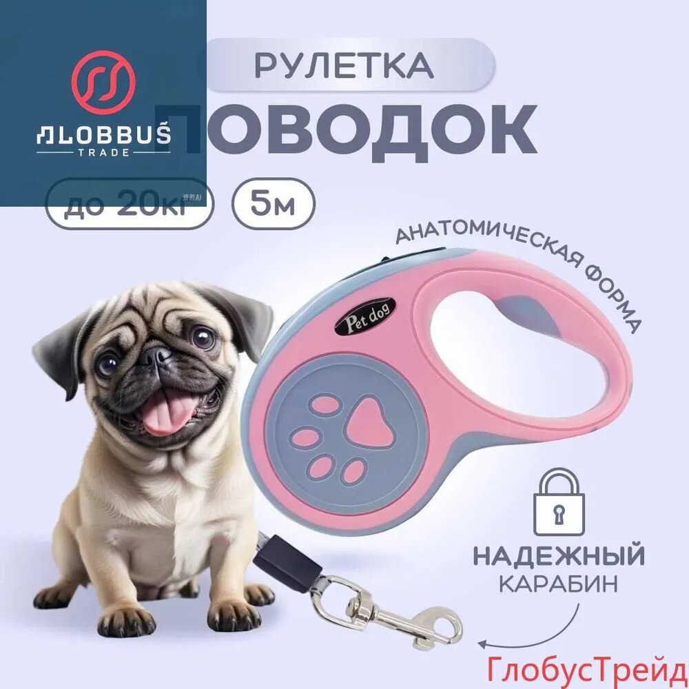 Поводок