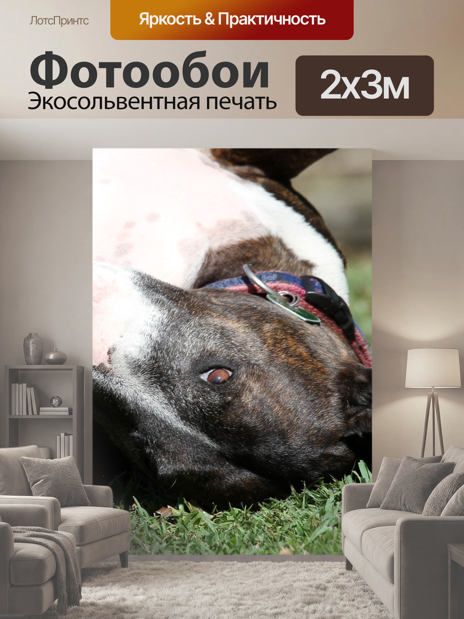 Фотообои "Собака, бультерьер, собачий" 200x300 см. экосольвентная печать