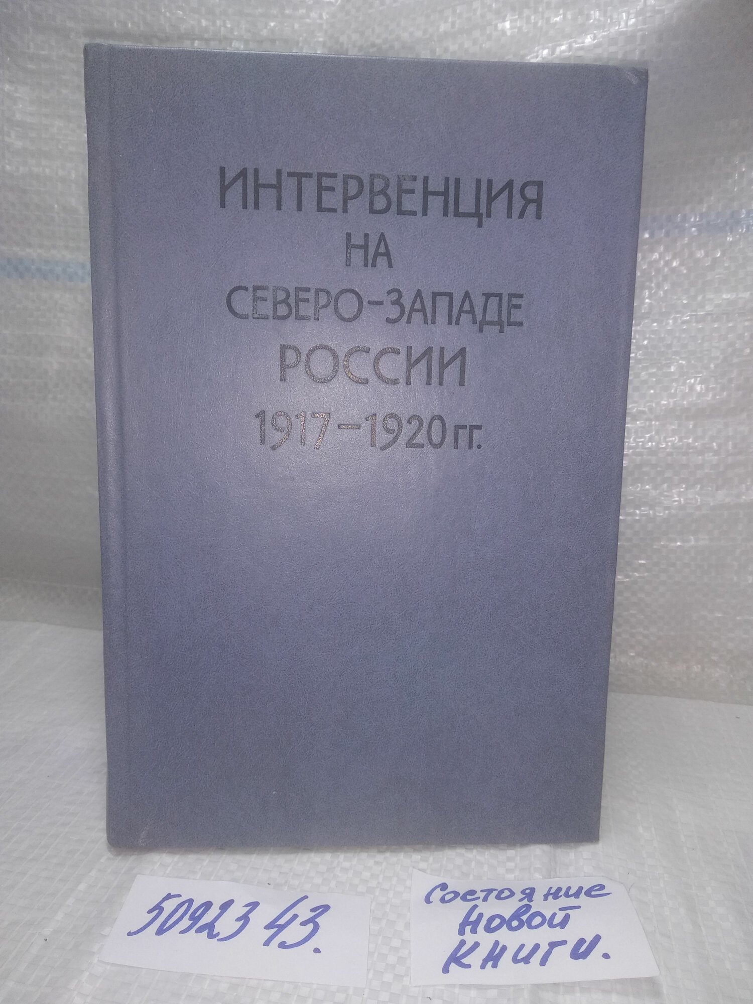 Интервенция на Северо-Западе России (1917 1920 гг.)