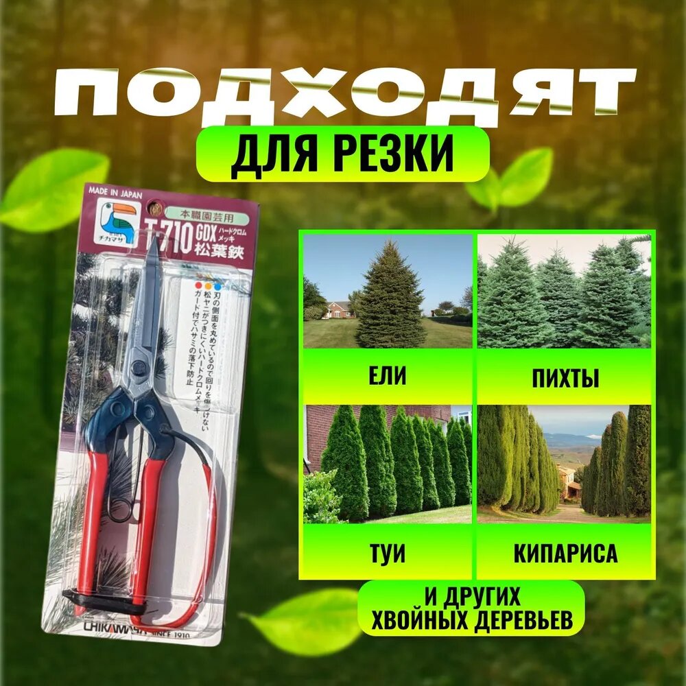 Секатор Chikamasa T-710GDX для хвойных деревьев, высокоуглеродистая сталь, красный — фото 1