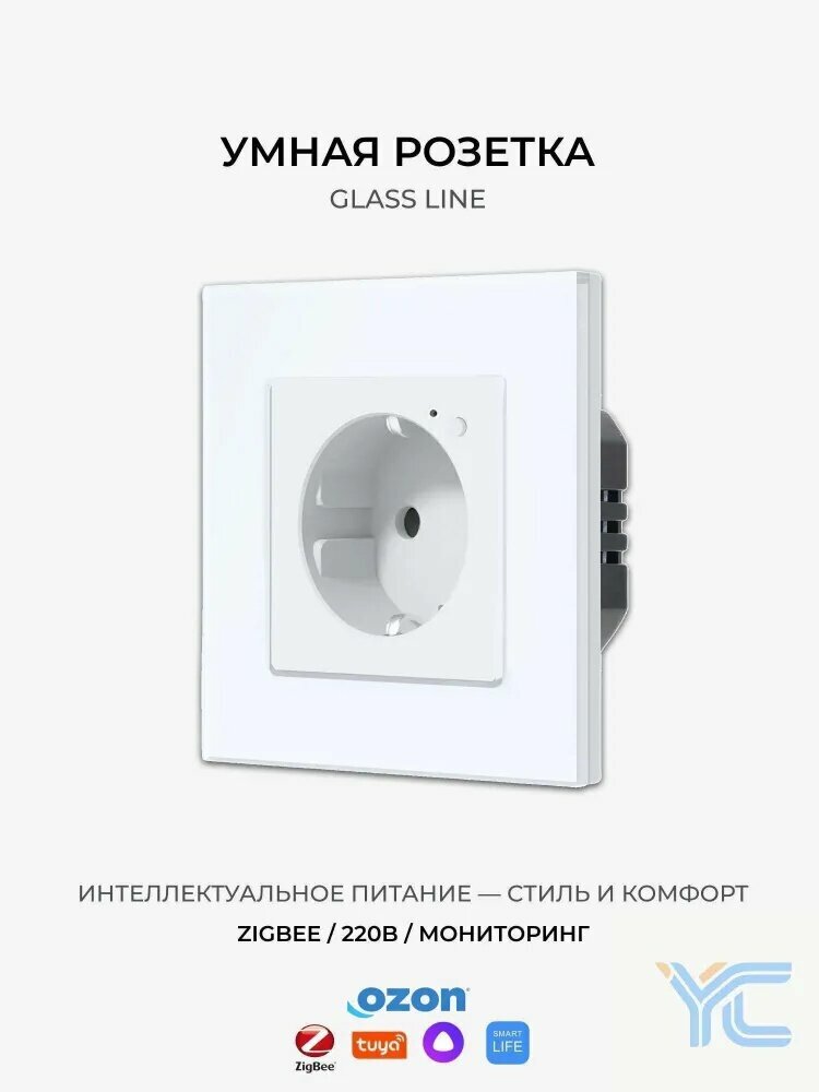 Умная розетка Zigbee встраиваемая, белая, с мониторингом