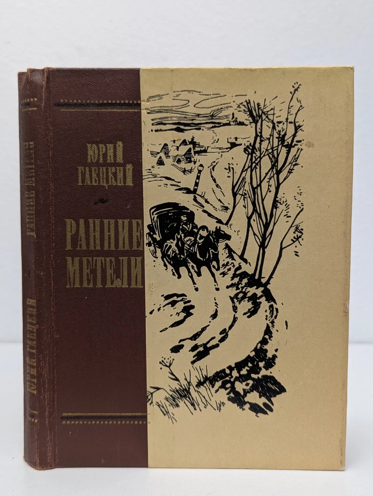 Ранние метели Гаецкий Юрий Александрович 1982