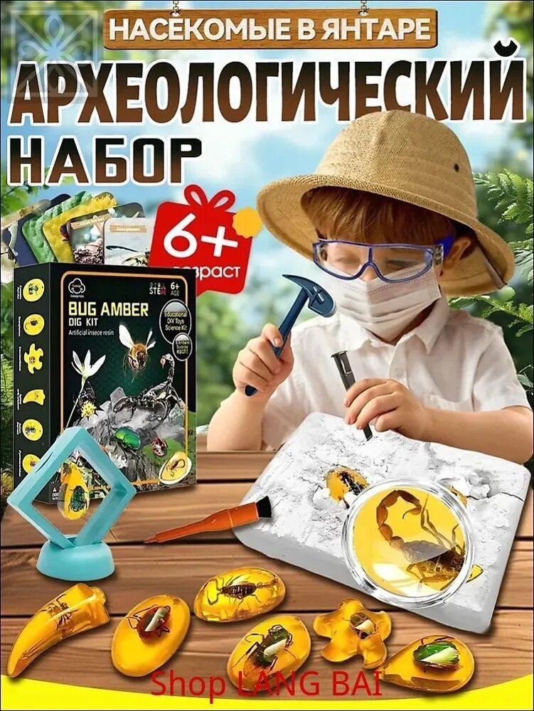 Археологический набор раскопки настоящих насекомых в янтаре с карточками