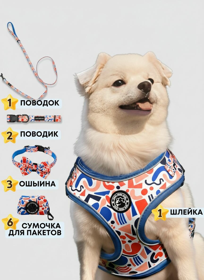 Ошейник, шлейка, поводок COOL DOGS CLUB