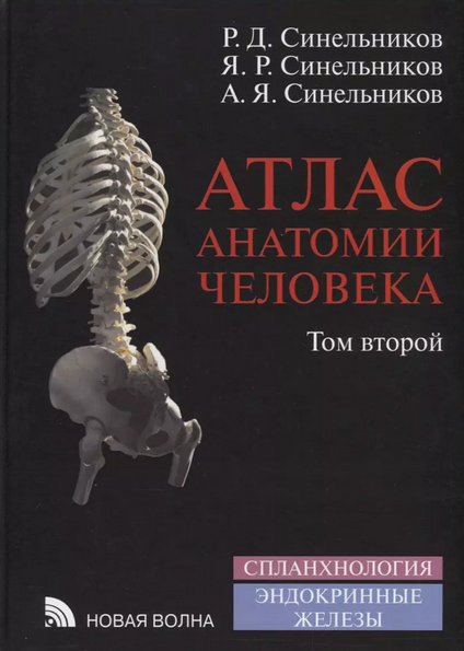 Атлас анатомии человека. В 4-х томах. Том 2. Учение о внутренностях и эндокринных железах