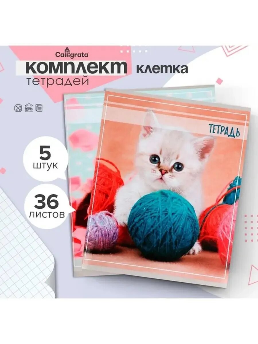Комплект тетрадей с котятами, 5 шт, 36 л.