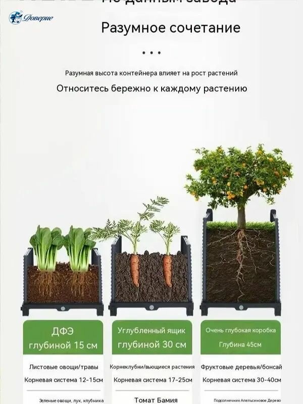 Грядка — фото 1