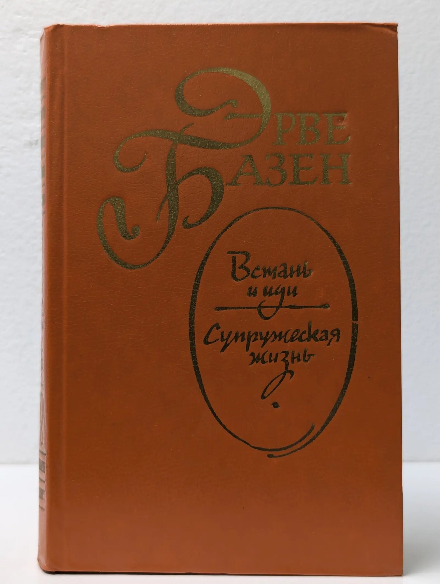 Встань и иди. Супружеская жизнь Базен Эрве 1983