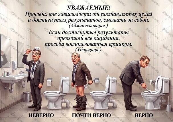 "Ёршик туалетный - правила пользования". 42х30 см. Плакат А3_032.
