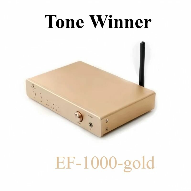 Tone Winner EF-1000 Цифровой плеер с беспроводным 3,5-ММ ушным усилителем Bluetooth для декодирования звука без потерь Android