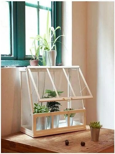IKEA Парник, теплица мини тепличка_белый_1731457642-cnxa