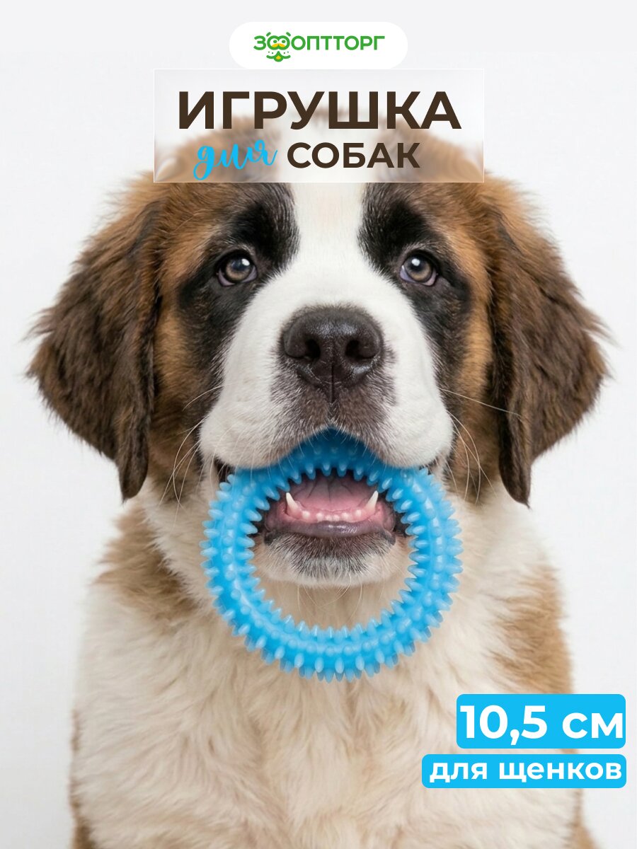 Triol Puppy игрушка для щенков из термопластичной резины Кольцо 10,5 см, Голубой