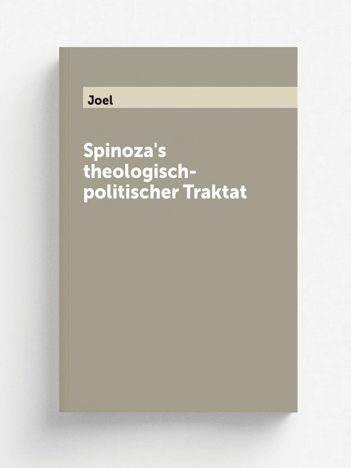 Spinoza's theologisch-politischer Traktat