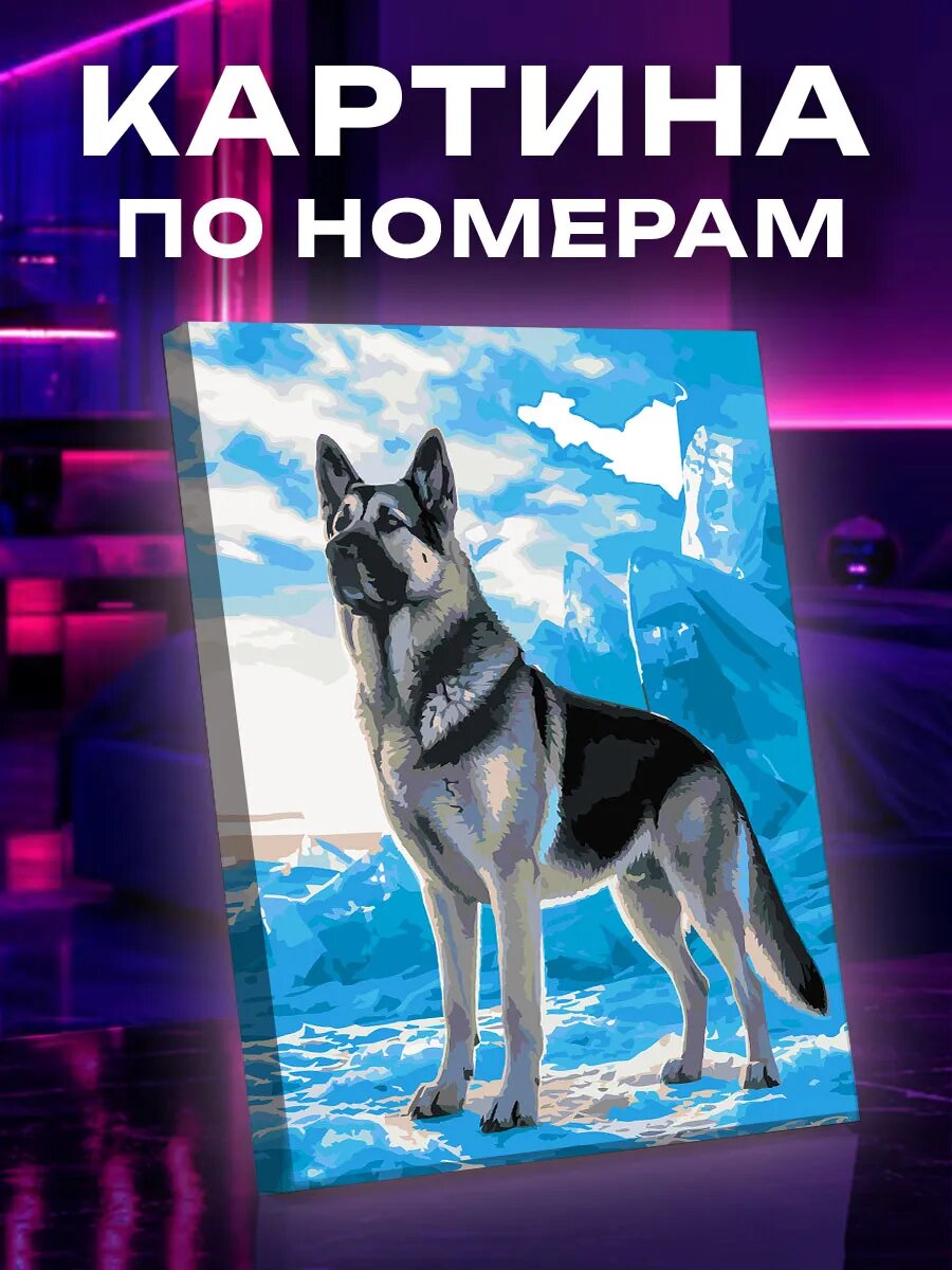 Картина по номерам Овчарка на фоне ледяных торосов