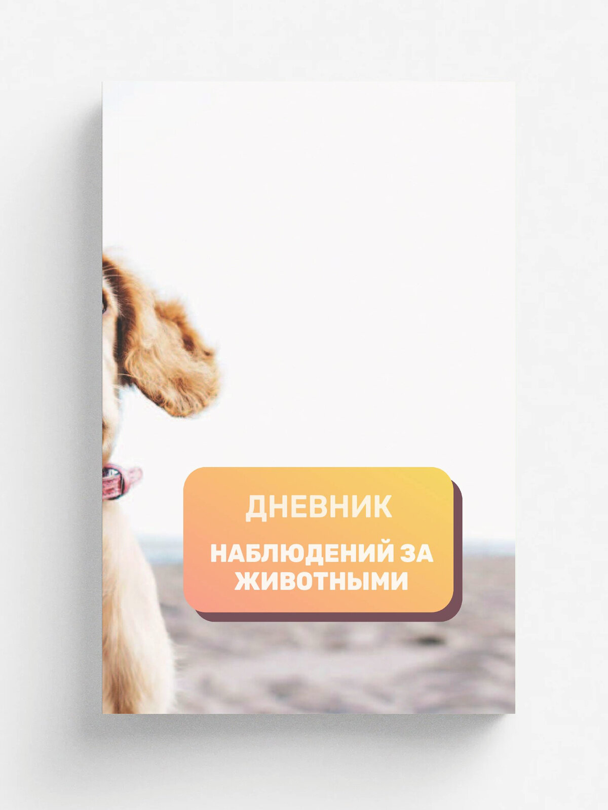 Дневник наблюдения за животными, универсальный