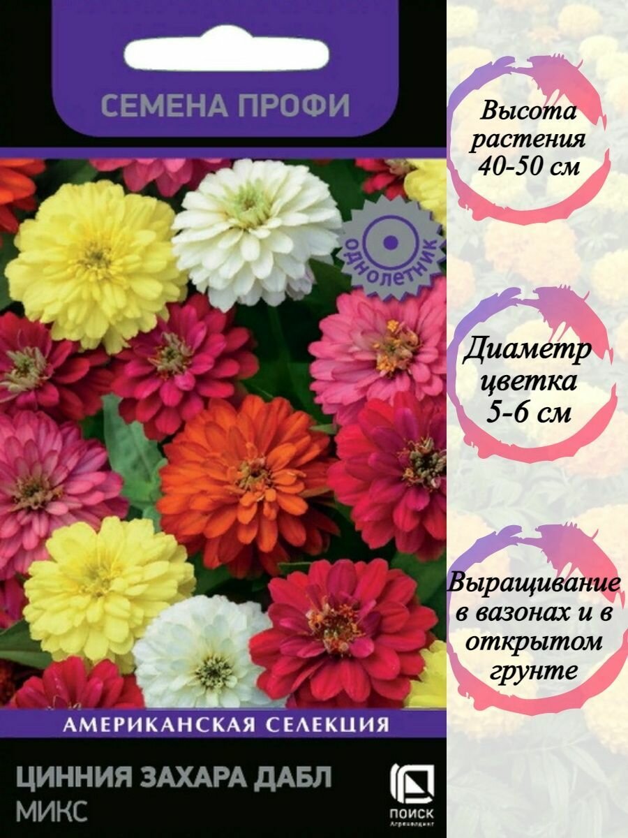 Цинния Захара Дабл Микс Семена Профи, 5 шт. в упаковке.