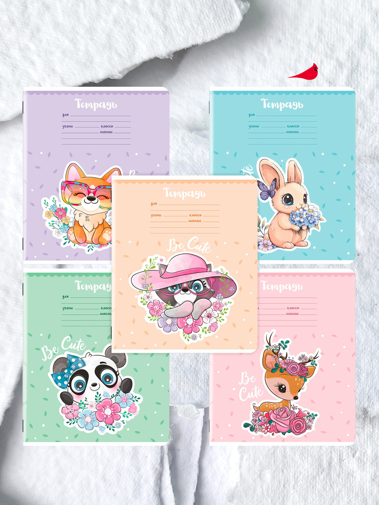 Комплект тетрадей в линейку 5 штук по 12 листов А5 Be Cute Красный Кардинал