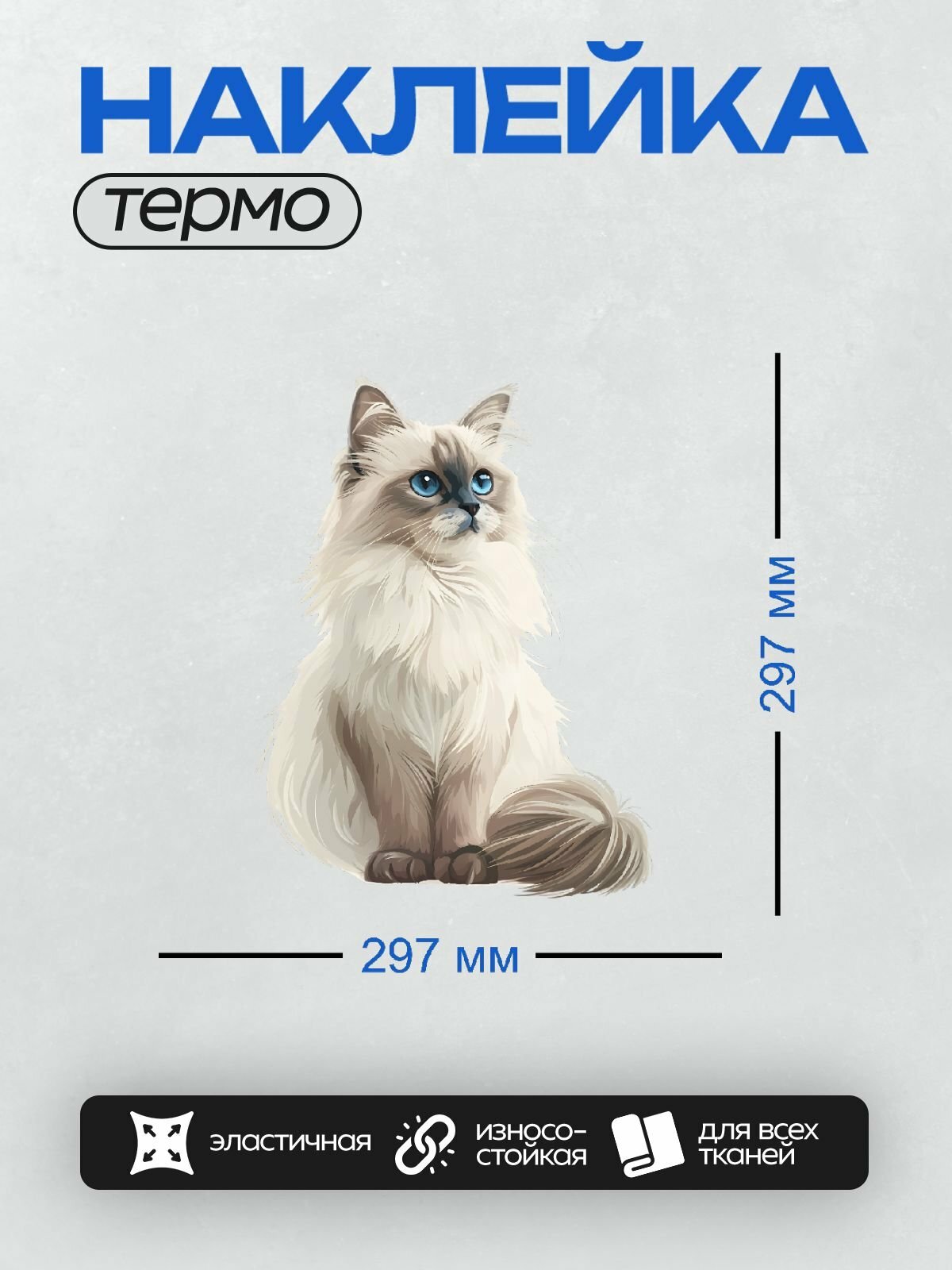 Термонаклейка PrintyFull на одежду DTF / Пушистая сиамская кошка