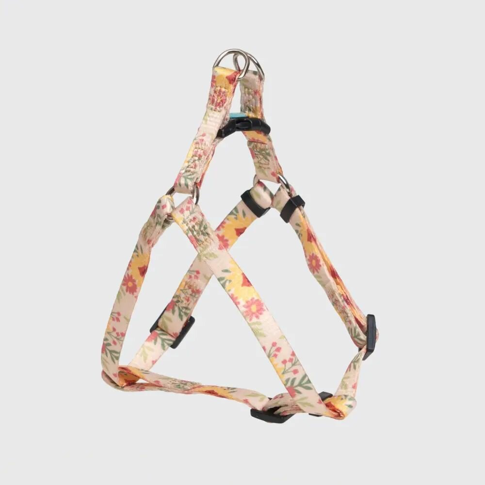 RURRI Шлейка для кошек и собак Лето, объем груди 35-53 см, ширина ремешка 1 см