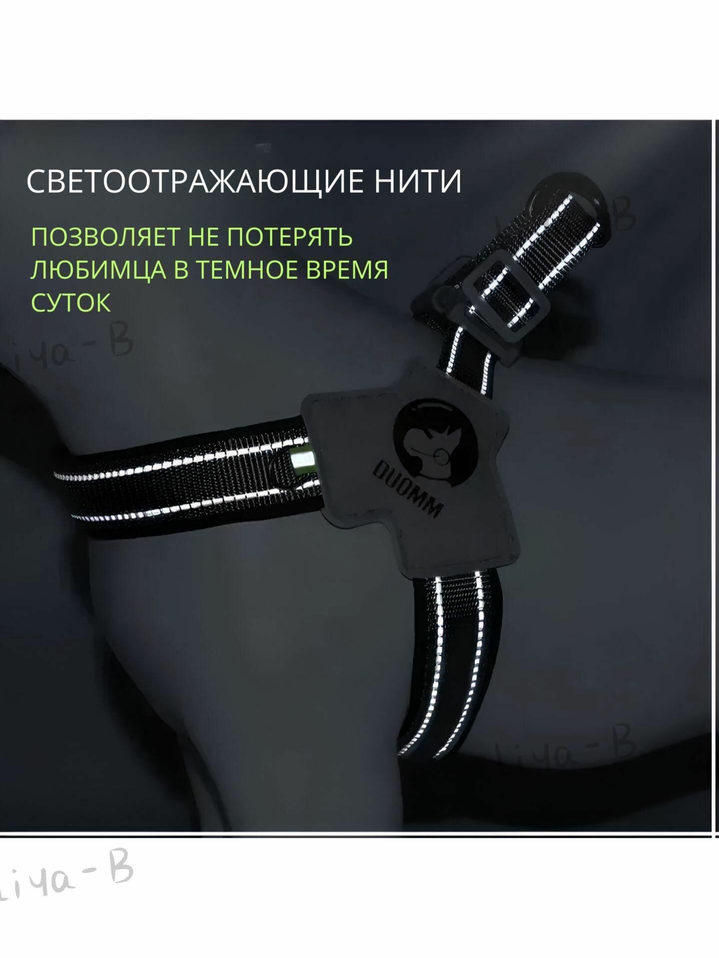 Шлейка — фото 1