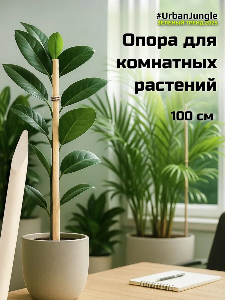 Опора для комнатных цветов деревянная, поддержка для фикуса и монстеры, 100 см