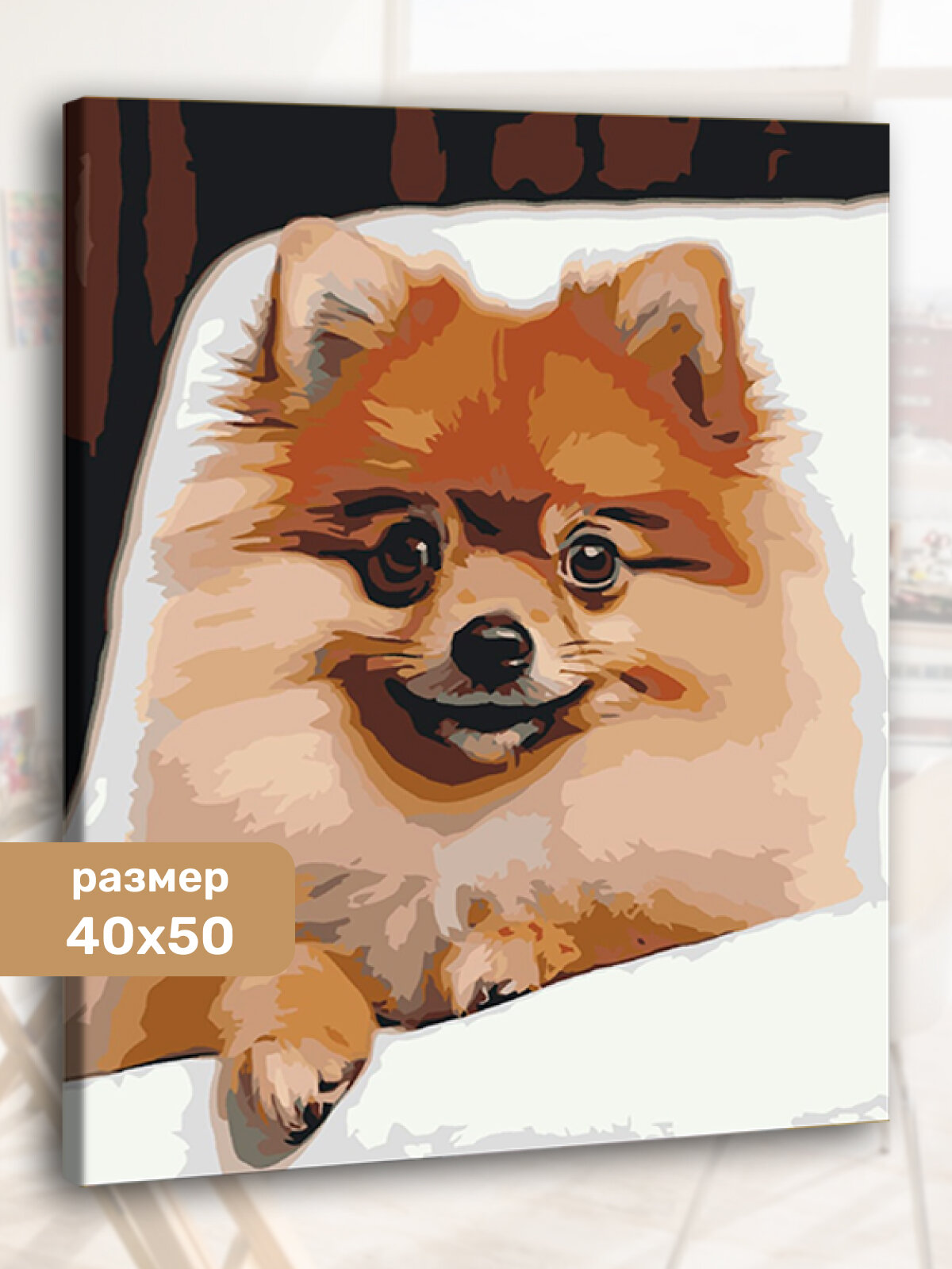 Картина по номерам на холсте и подрамнике "Шпиц рыжий" 40х50 см