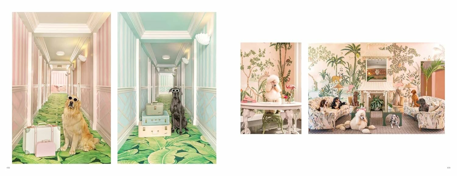 Книга Gray Malin: Dogs — фото 1