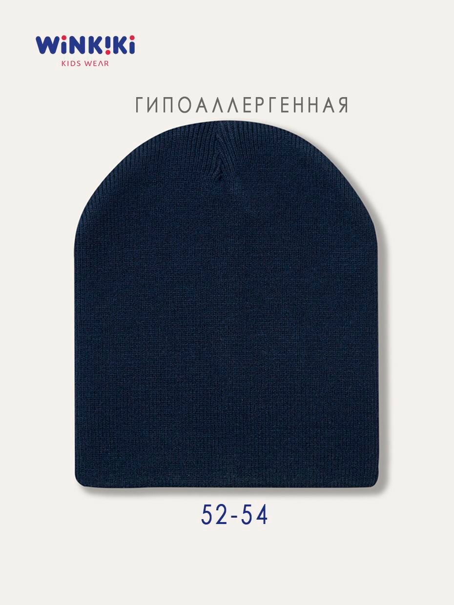 Шапка-бини Осень-зима 2025 для детей