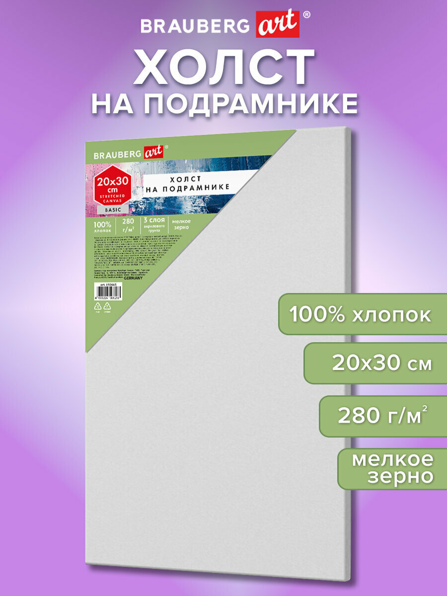 Холст для рисования на подрамнике 20х30 см грунтованный, 280 г/м2, 100% хлопок, мелкое зерно, Brauberg Art Basic, 192665