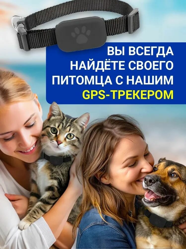 Видеоняня для животных — фото 1