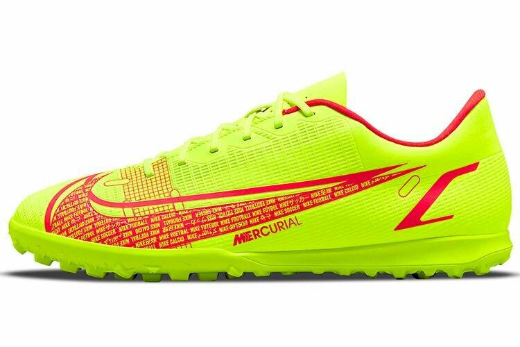 Сороконожки