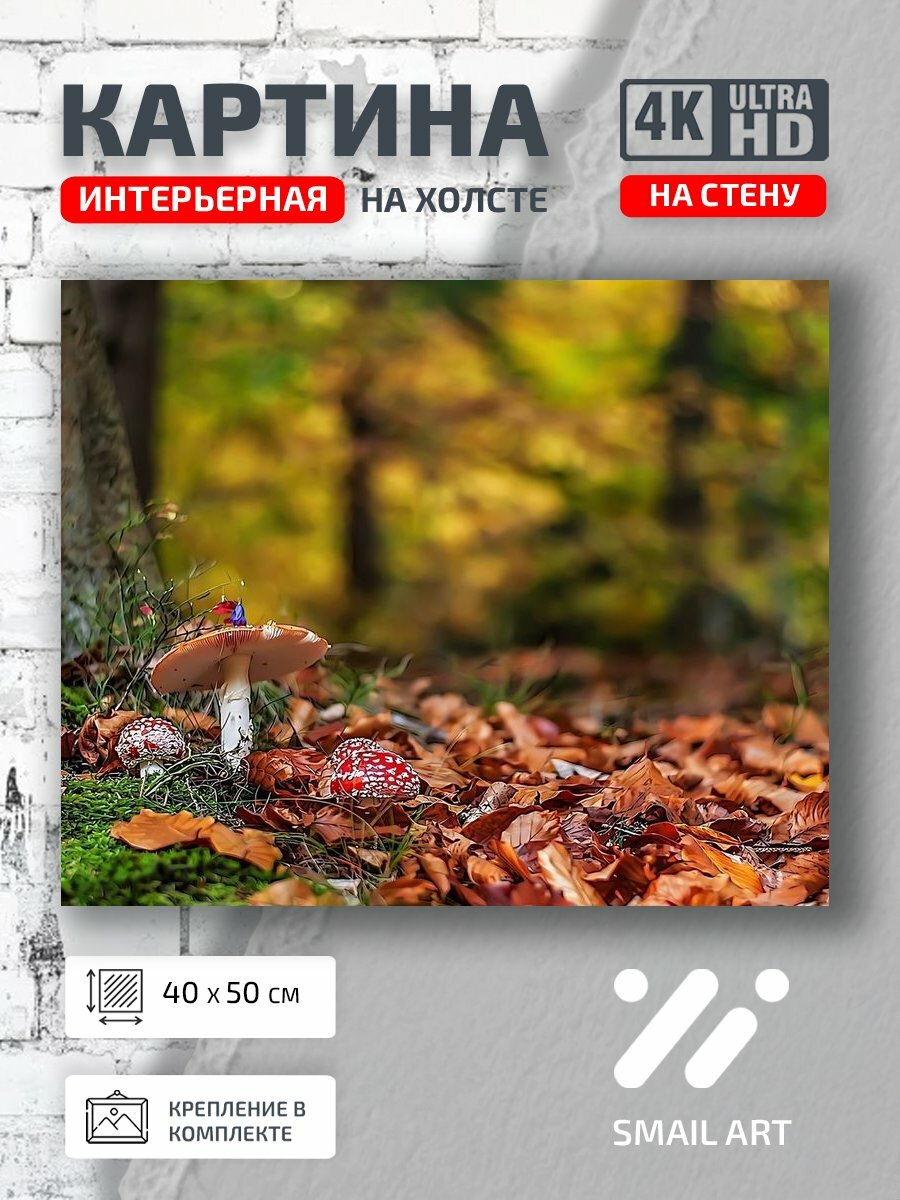 Картина на холсте интерьерная 40 на 50 на стену Деревья Landscape для гостиной пейзаж декор